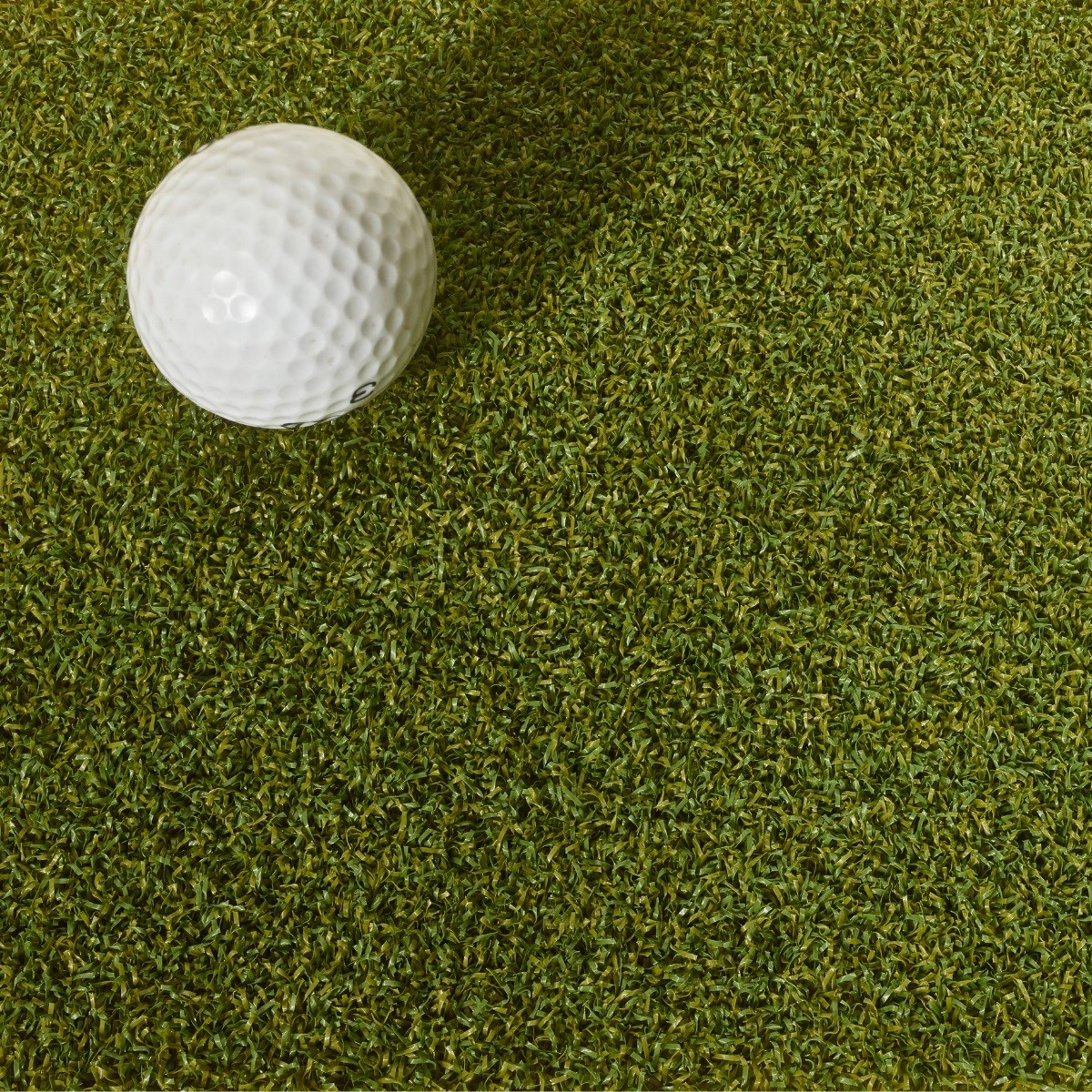 Buy Proline 16MM Online With EGM Shop Online