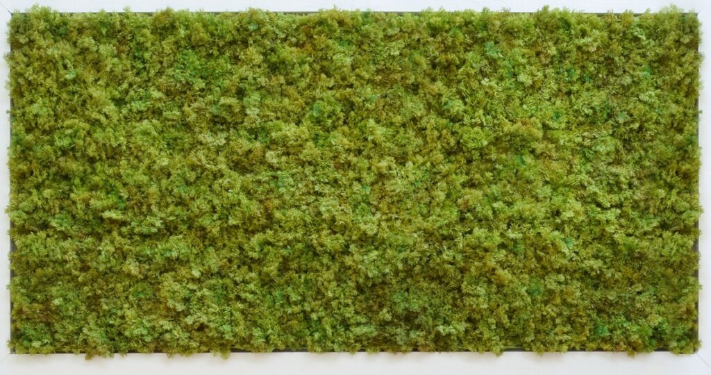 Buy Artificial moss Indoor and Outdoor Living Wall Panels | EGM
